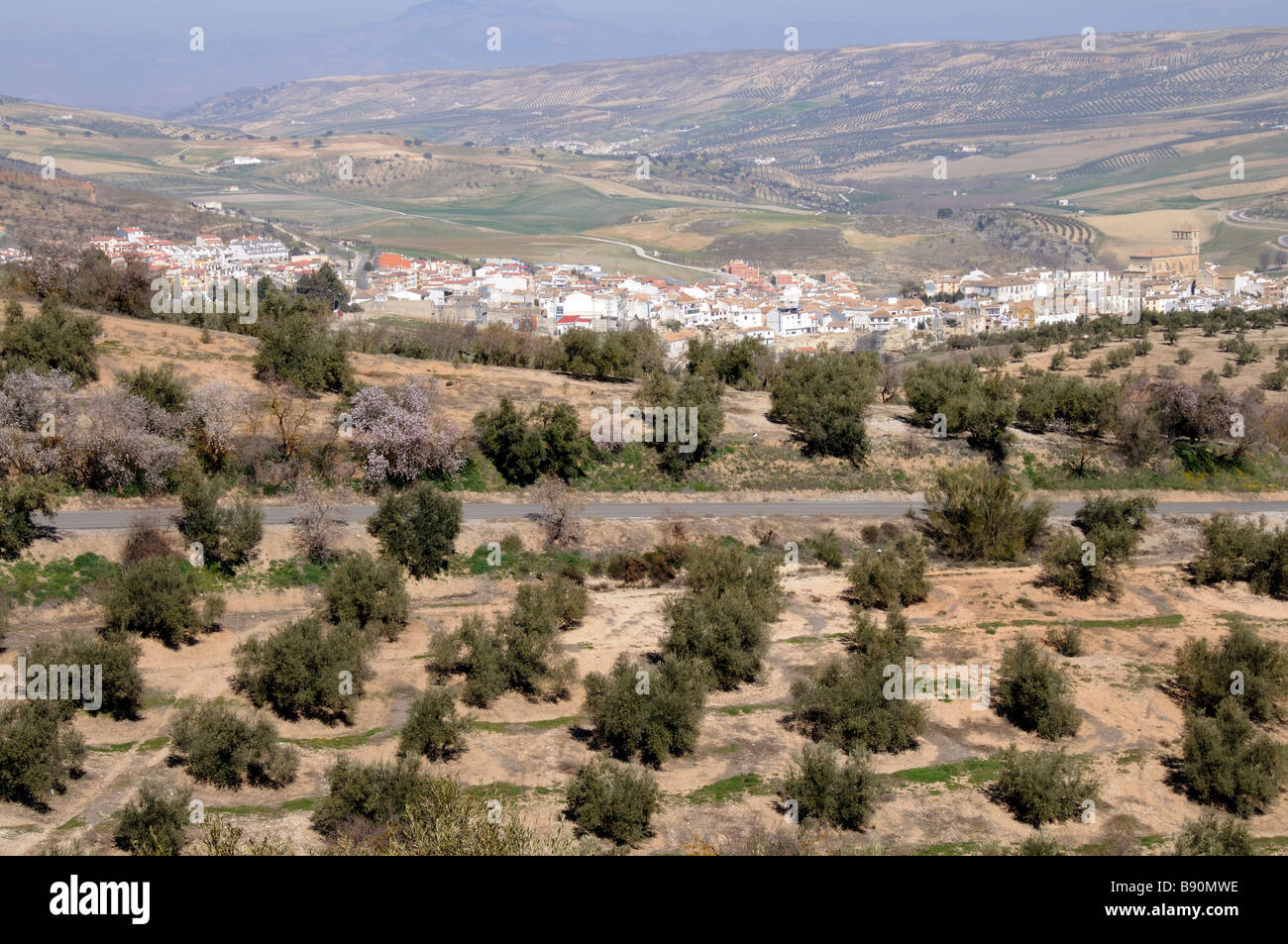Spanish farming hi-res stock photography and images - Alamy