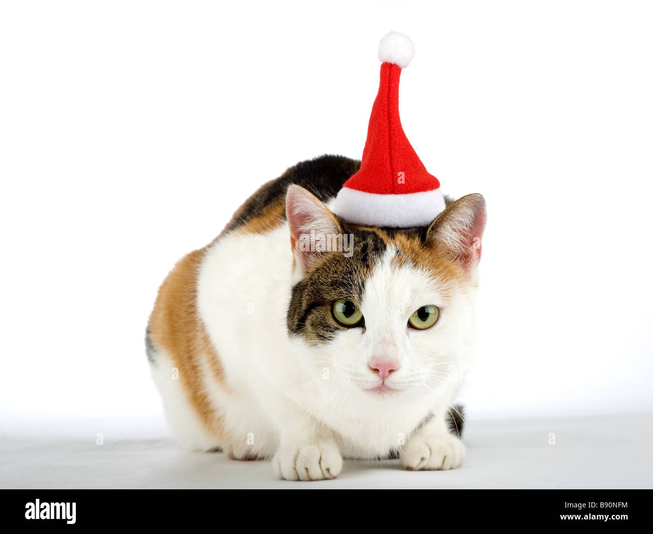 Spotted hat hi-res stock photography and images - Alamy