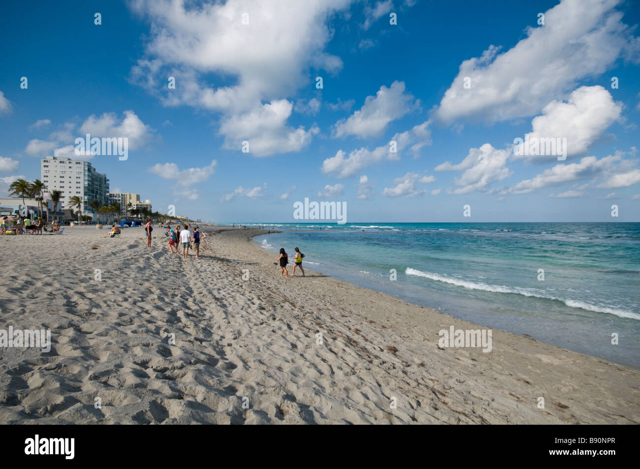 The beach in hollywood hi-res stock photography and images - Alamy