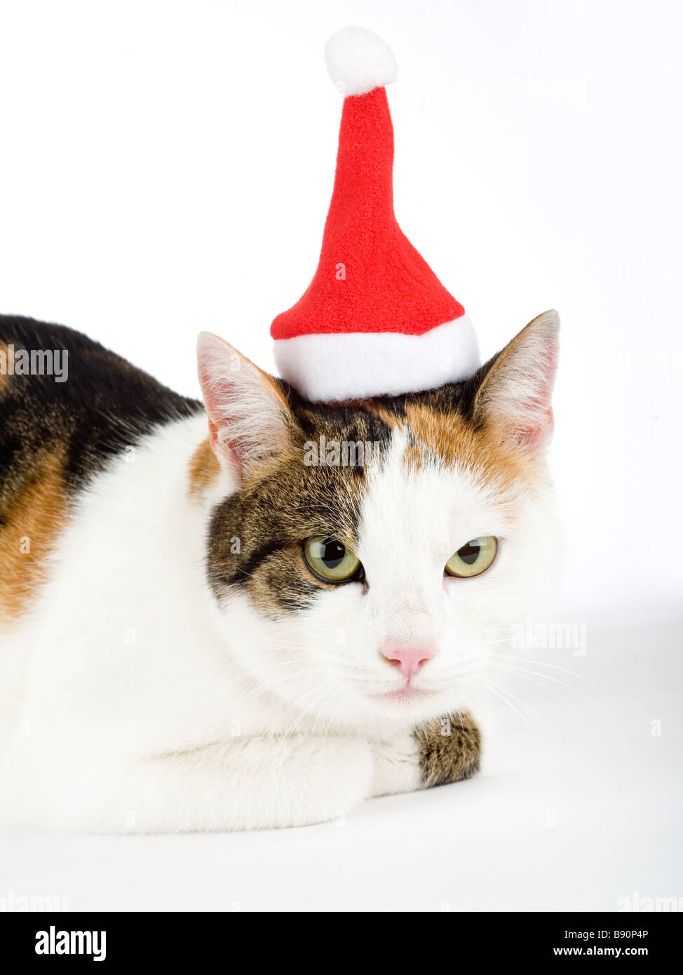 Spotted hat hi-res stock photography and images - Alamy