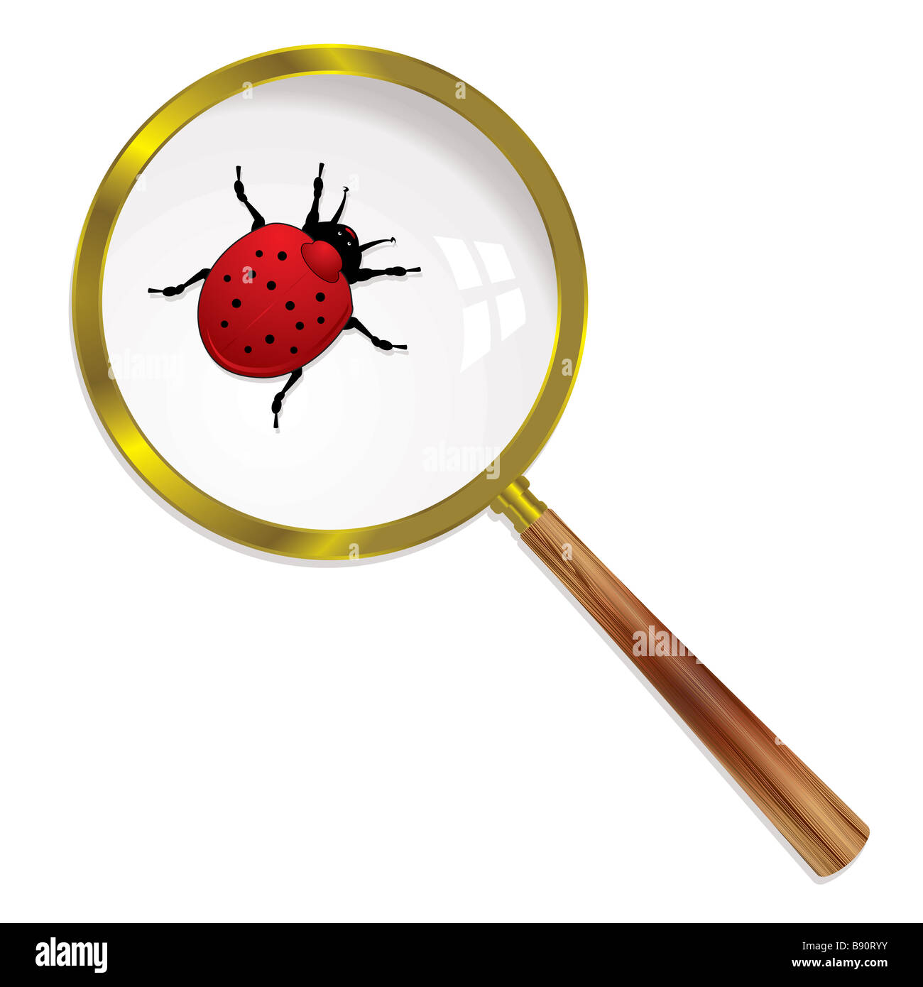 Bug under magnifying glass hi-res stock photography and images - Alamy