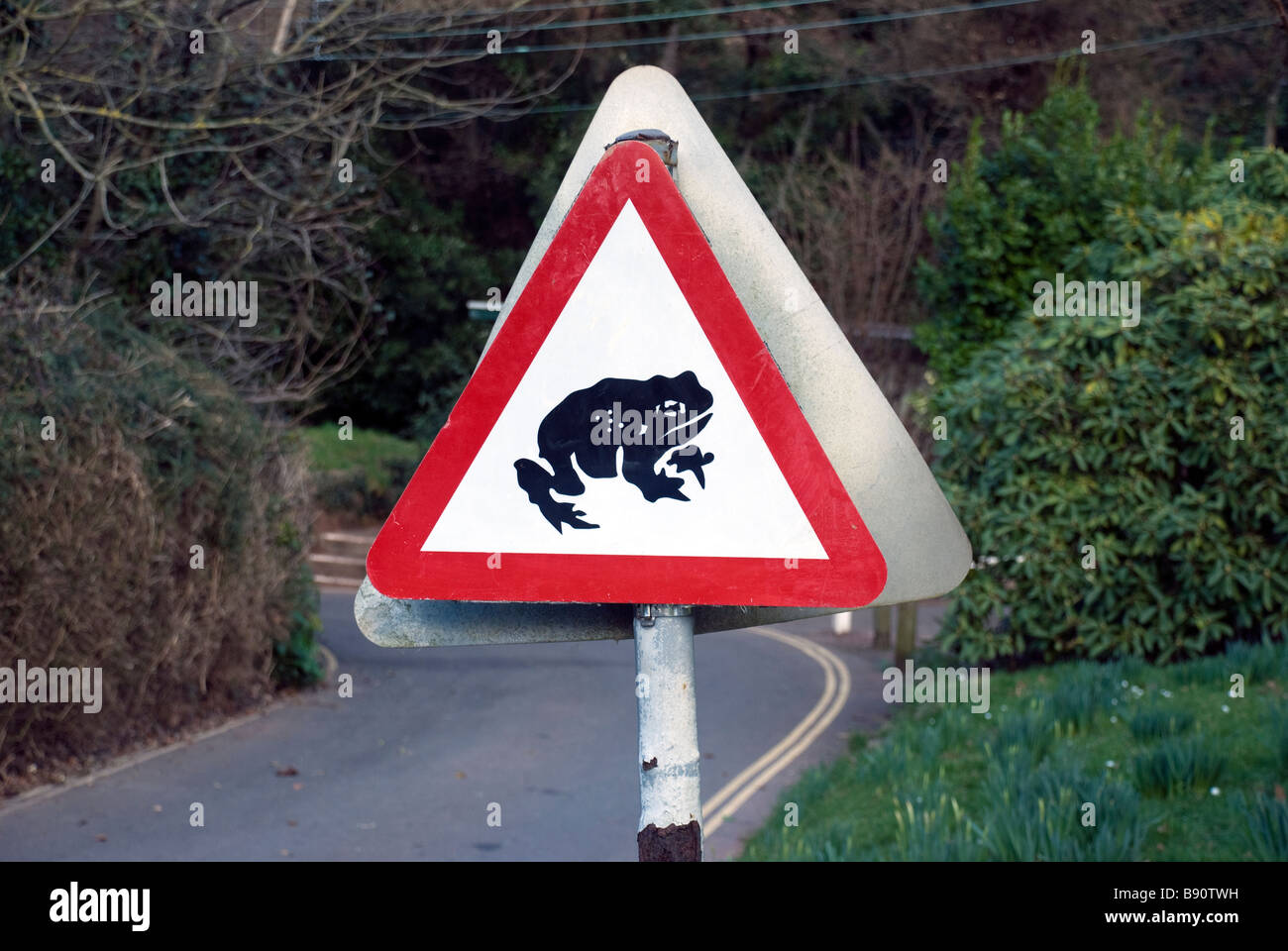 A Triangular Road Sign Warning Of Toads Crossing, Surrey,, 46% OFF