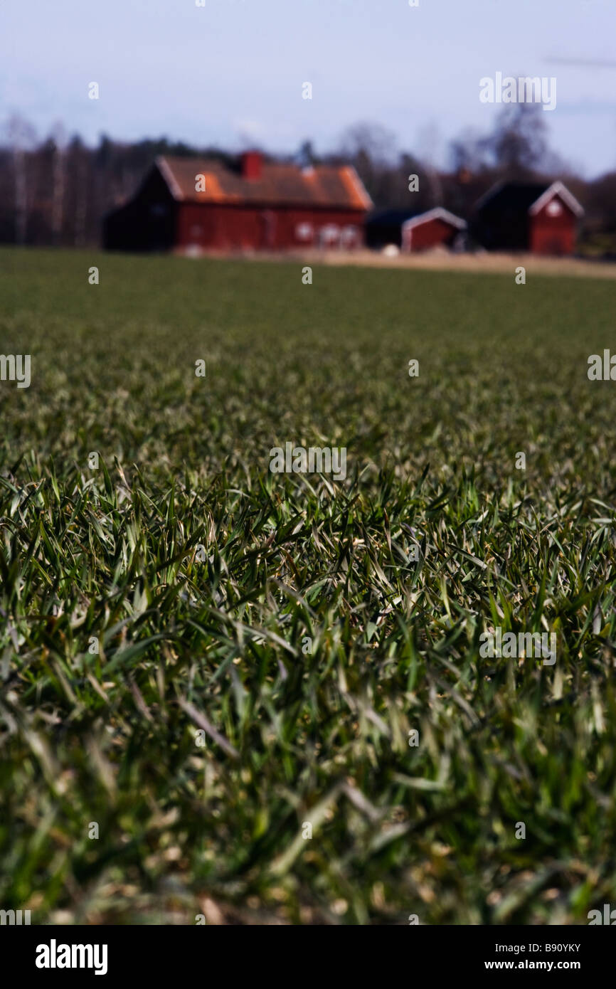 Scandinavian soils hi-res stock photography and images - Alamy