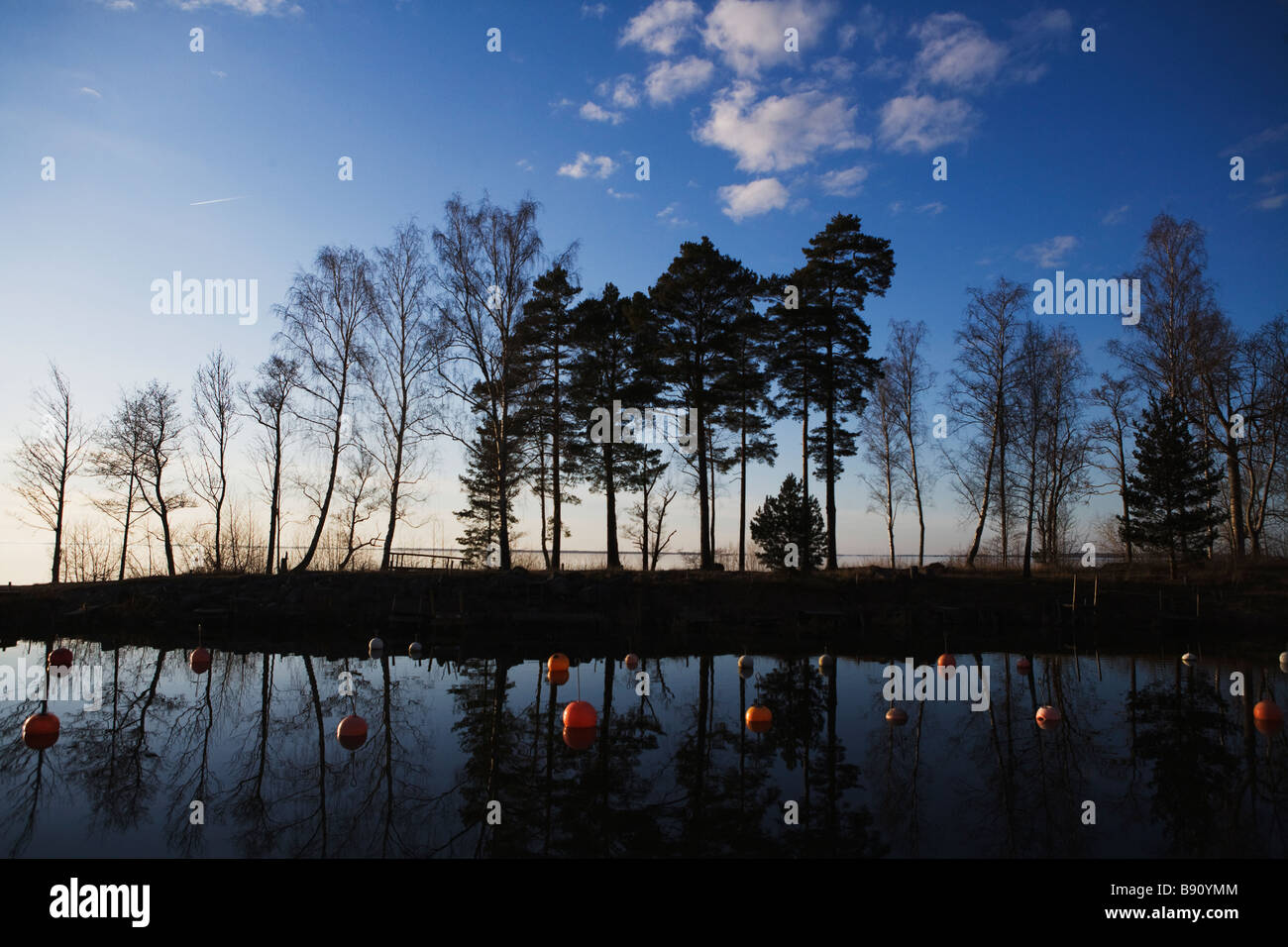 Trees by the water Narke Sweden Stock Photo - Alamy