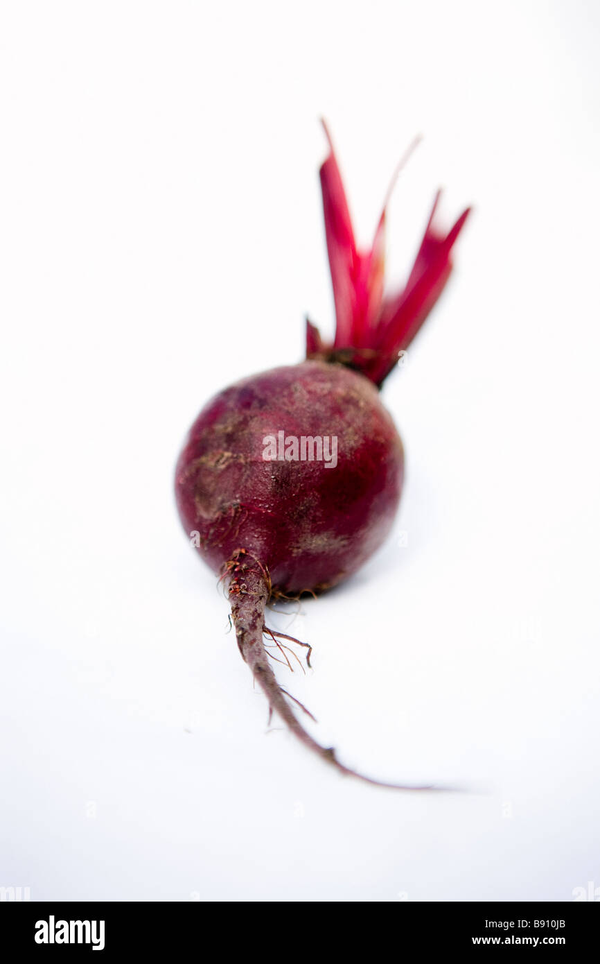A beetroot against white background Stock Photo - Alamy