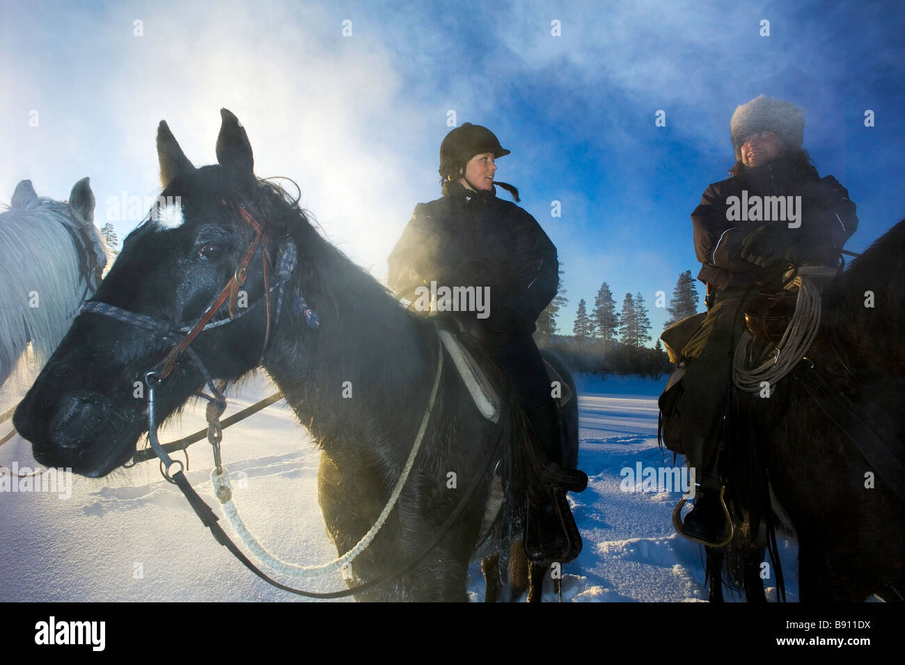 Horseback riding in the snow Sweden Stock Photo - Alamy