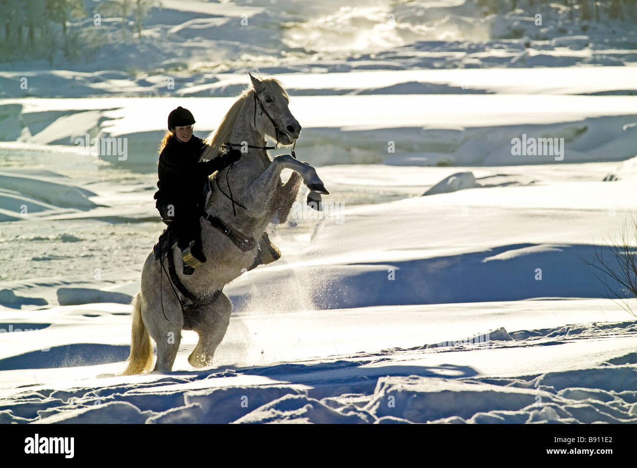Horse riding in sweden hi-res stock photography and images - Alamy