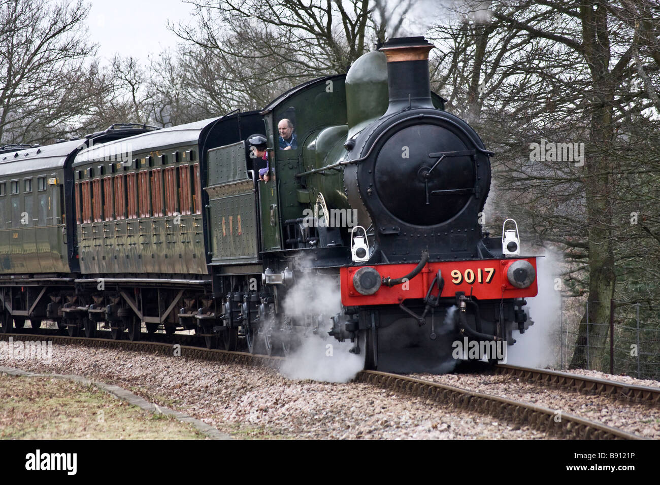 Dukedog hi-res stock photography and images - Alamy