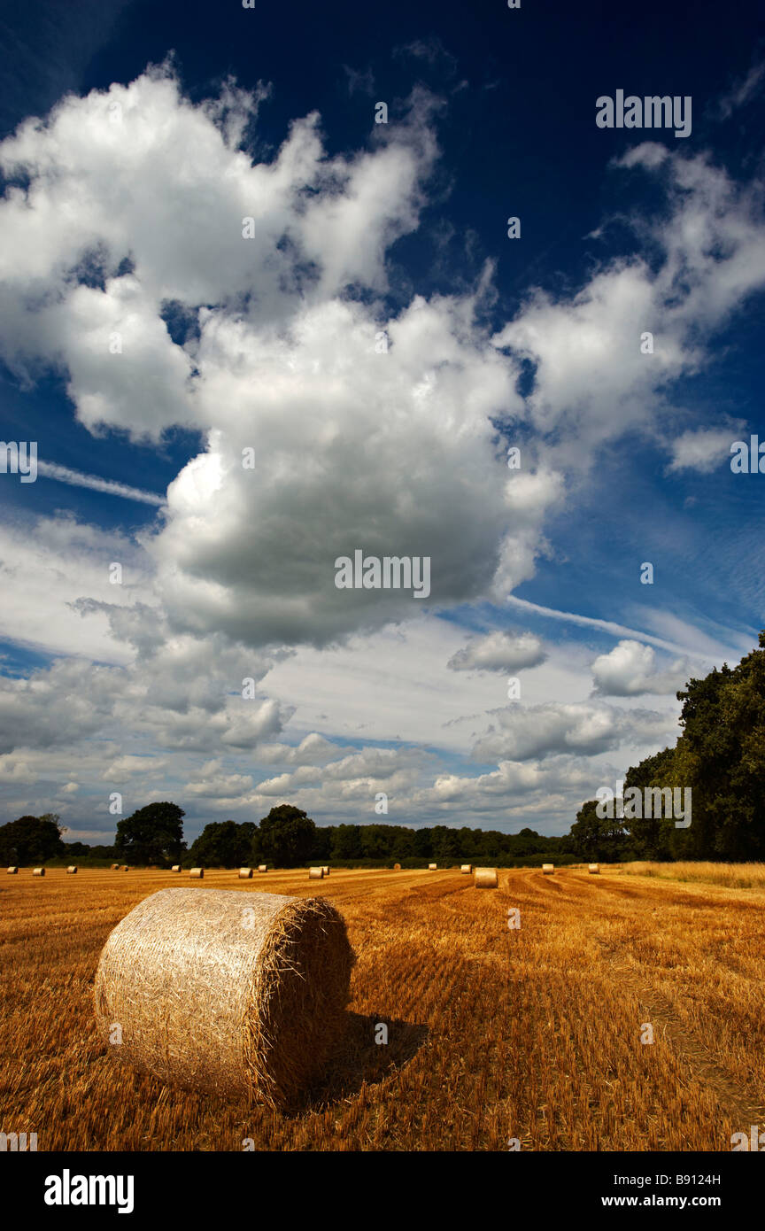 Harvest At Mobberley Cheshire UK Stock Photo - Alamy