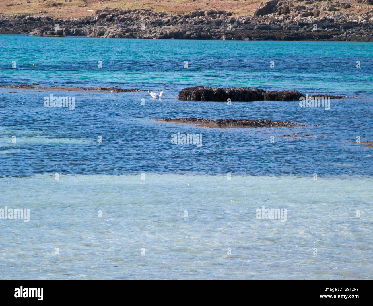Calgary bay hi-res stock photography and images - Alamy