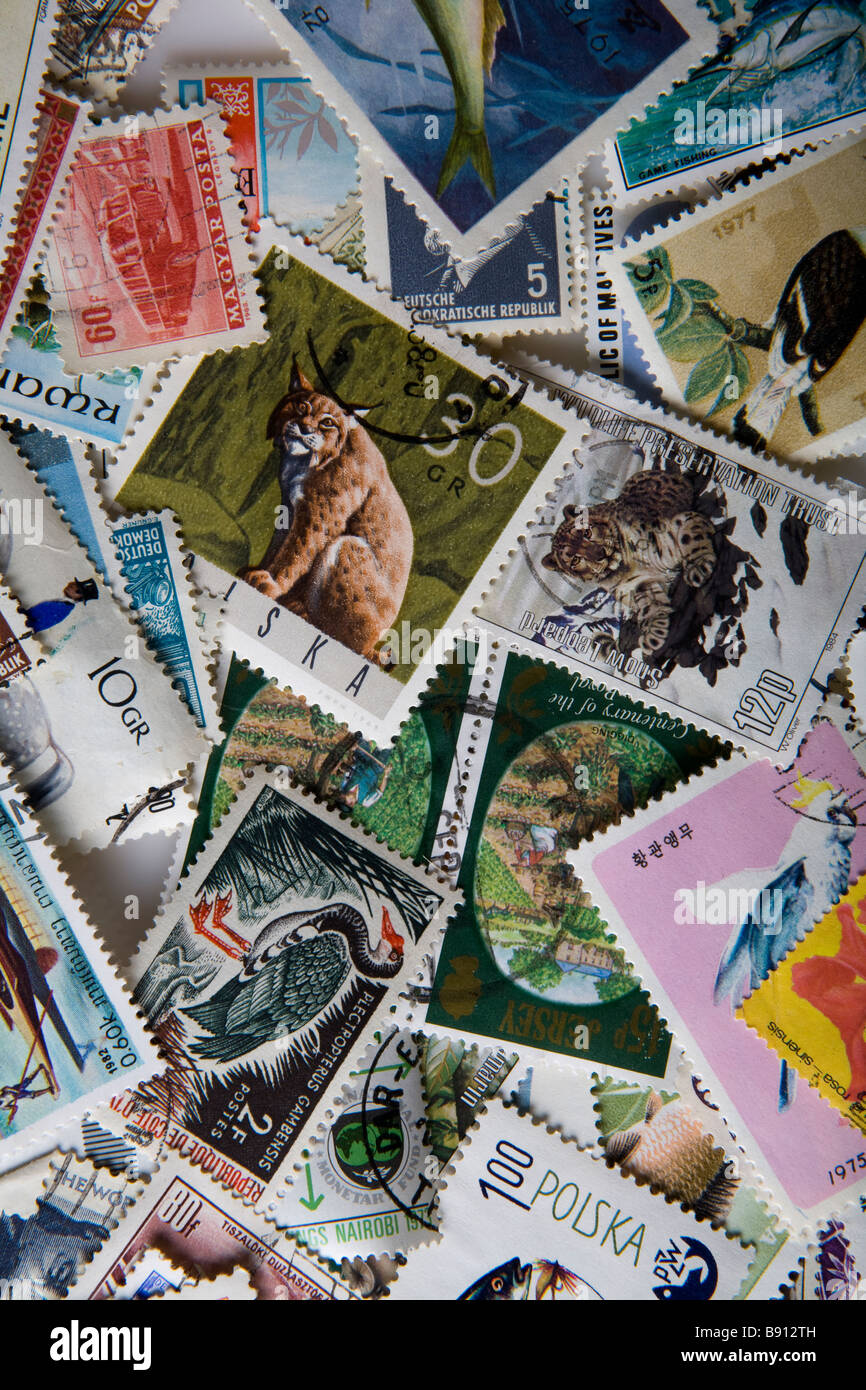 Stamps collector hi-res stock photography and images - Alamy