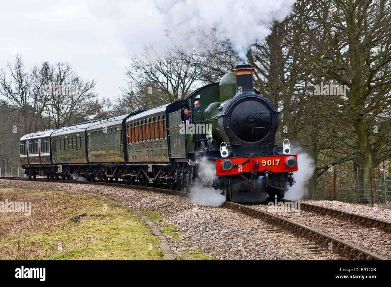 Dukedog 9017 hi-res stock photography and images - Alamy