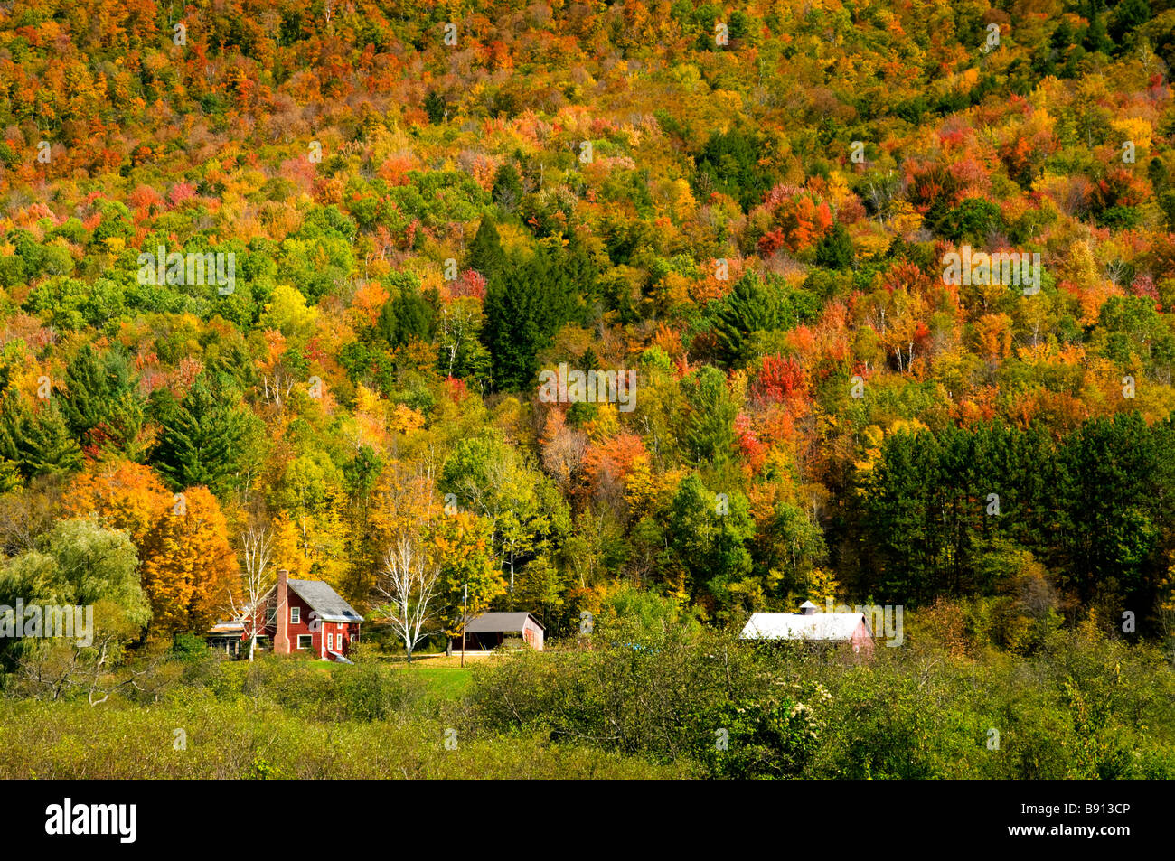 The hillsides of rural Vermont ablaze with fall foliage color Stock ...