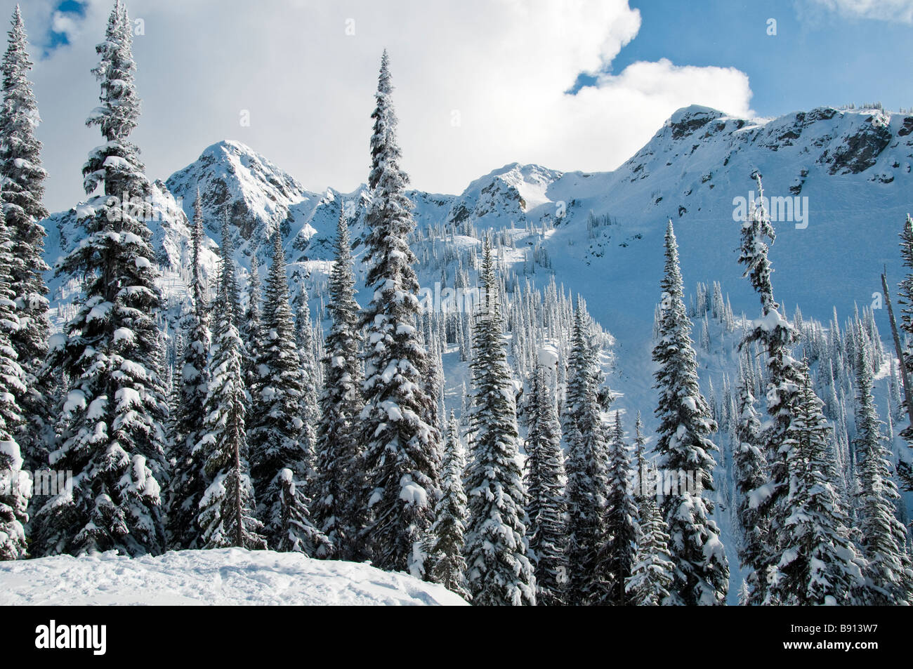Mount Mackenzie above the North Bowl, Revelstoke Mountain Resort ...