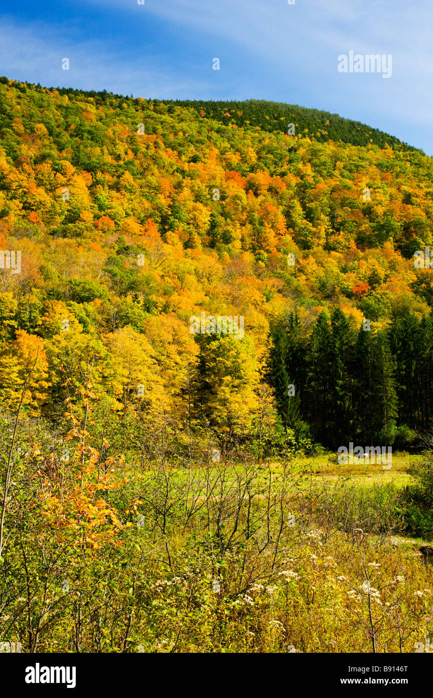 The hillsides of rural Vermont ablaze with fall foliage color Stock ...