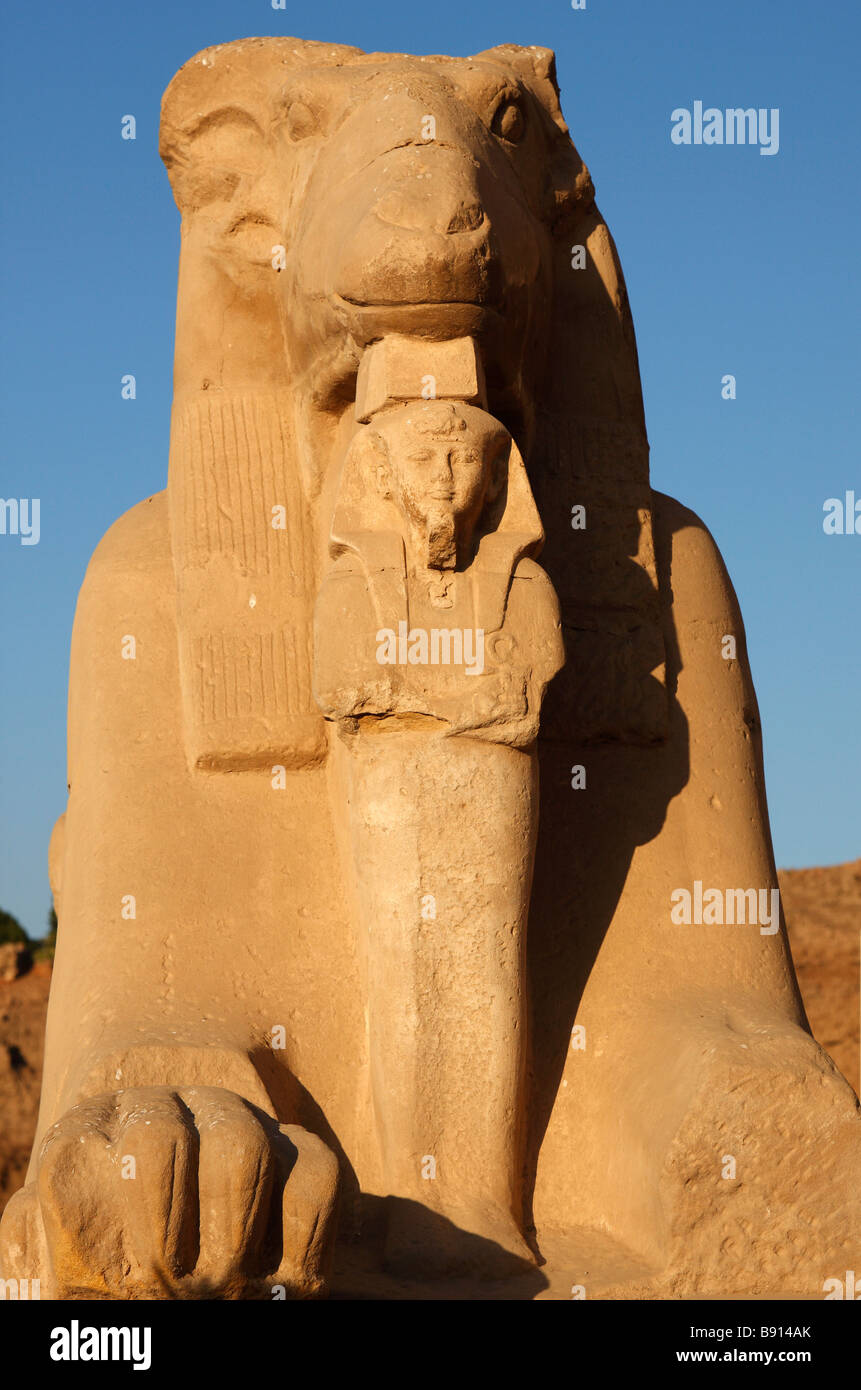 The avenue of ram headed sphinxes hi-res stock photography and images ...
