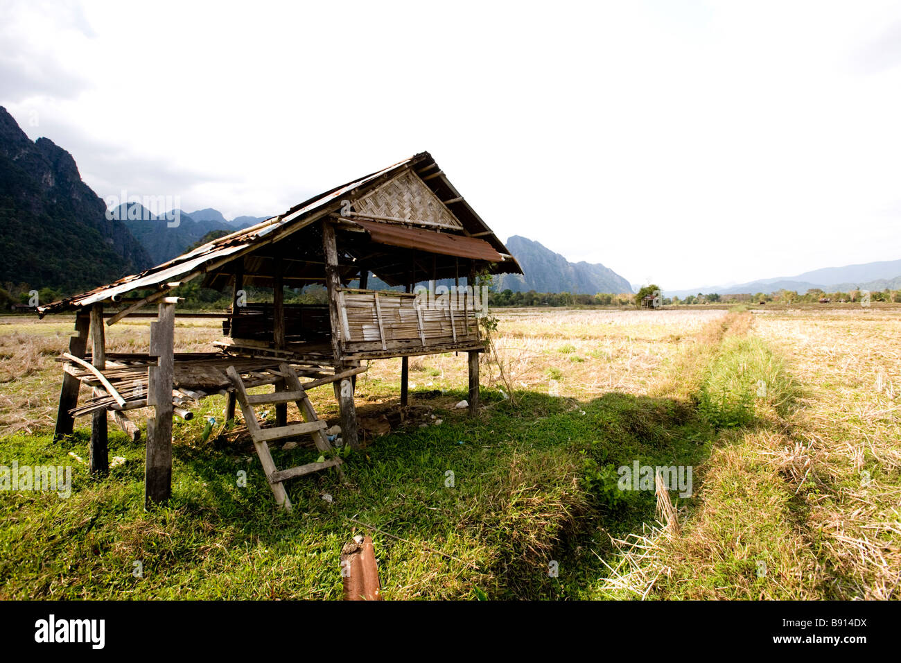 Laos, Vientiane Province, Vang Vieng, wooden hut, fields, limestone ...