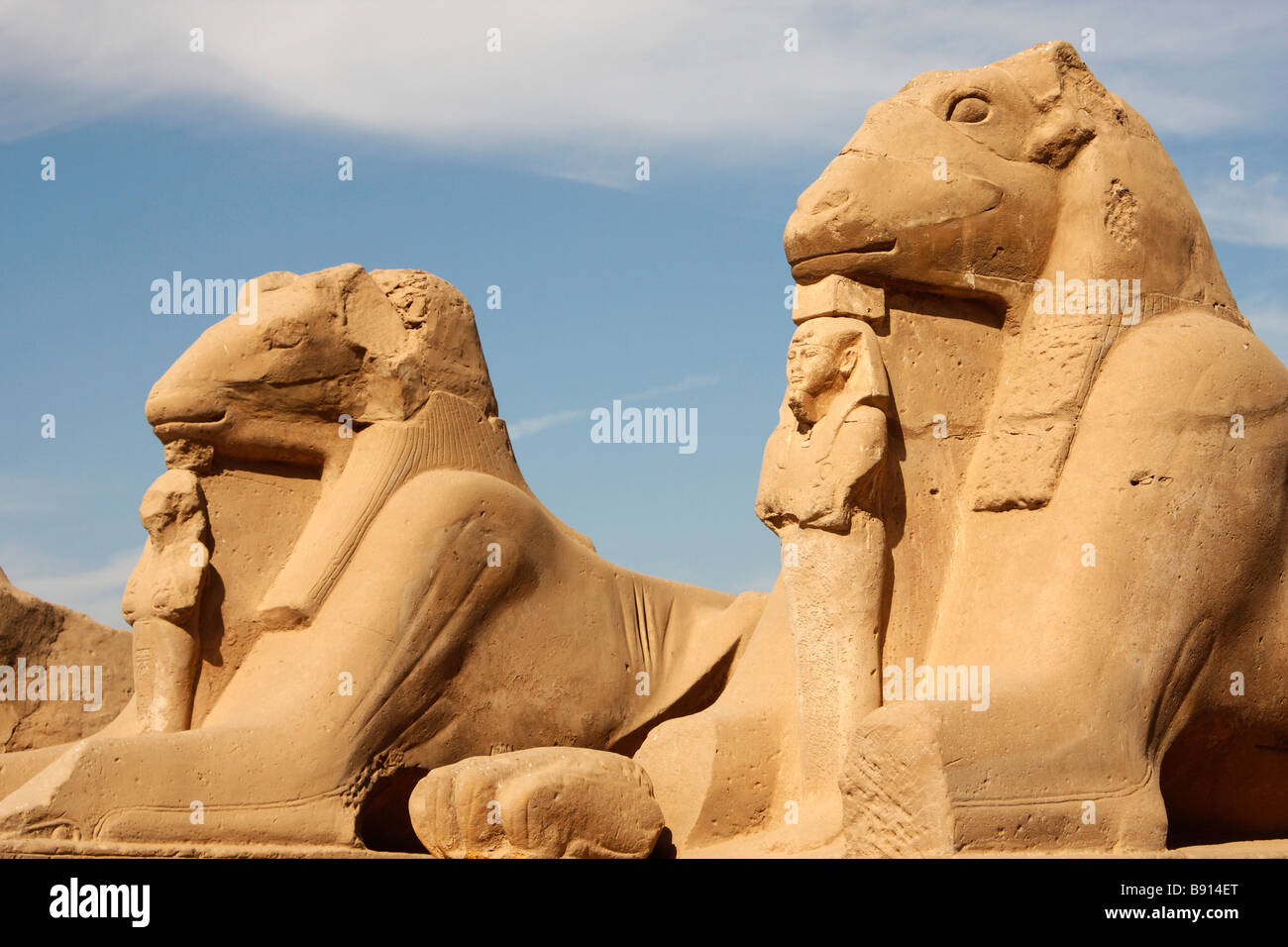 Ram statues amun temple hi-res stock photography and images - Alamy