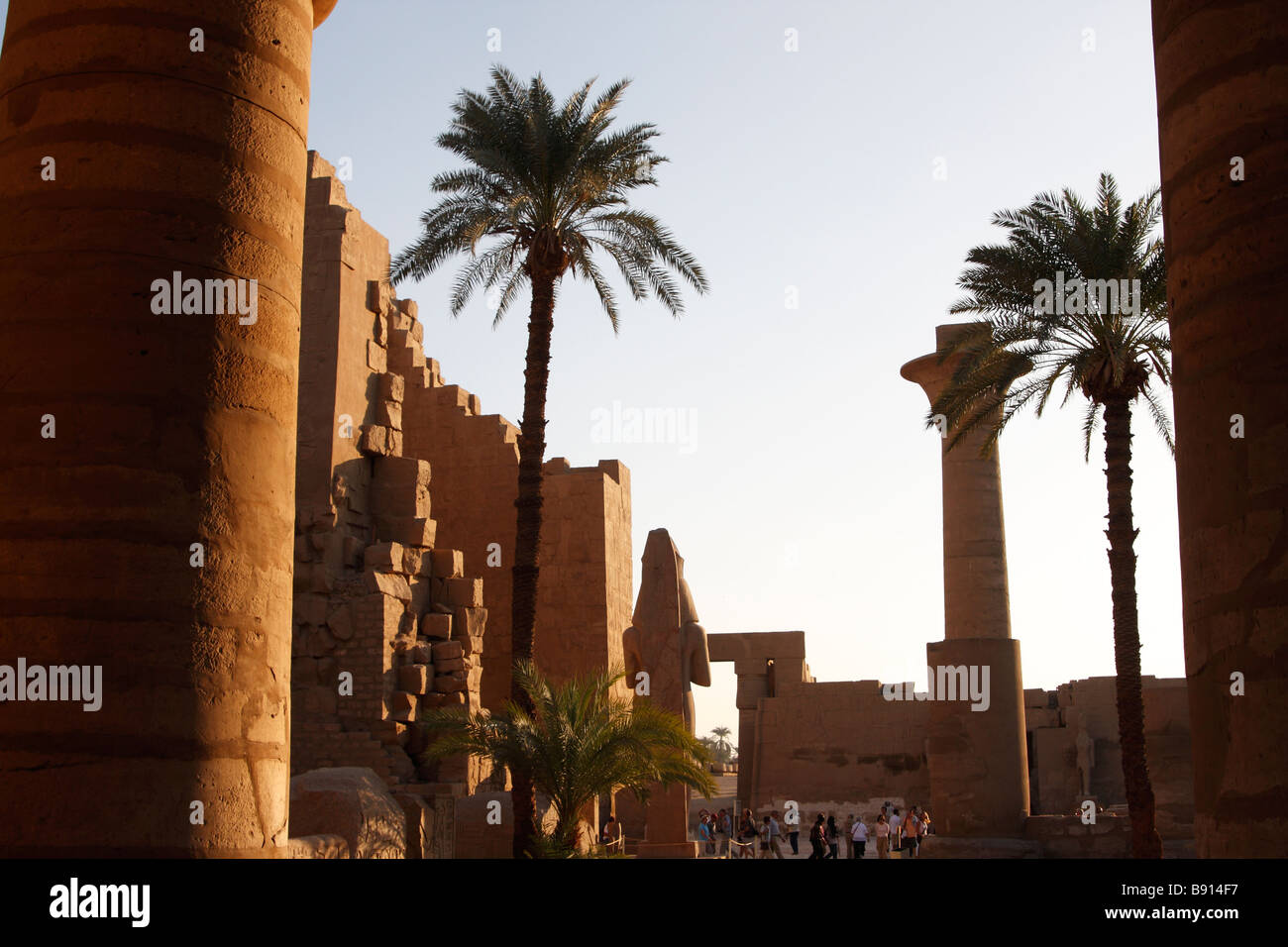 Old courtyard huge tree hi-res stock photography and images - Alamy