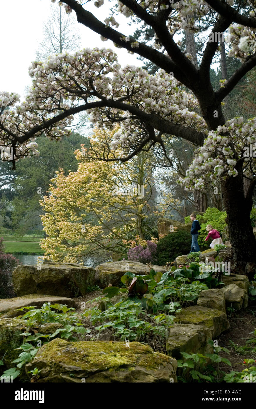 Cambridge university botanical gardens hi-res stock photography and ...