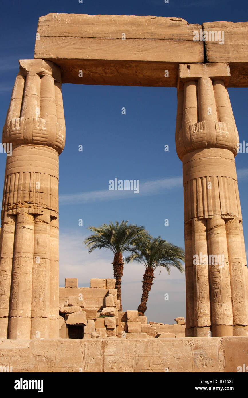 Egypt Palm Trees Palms Stock Photos & Egypt Palm Trees Palms Stock ...