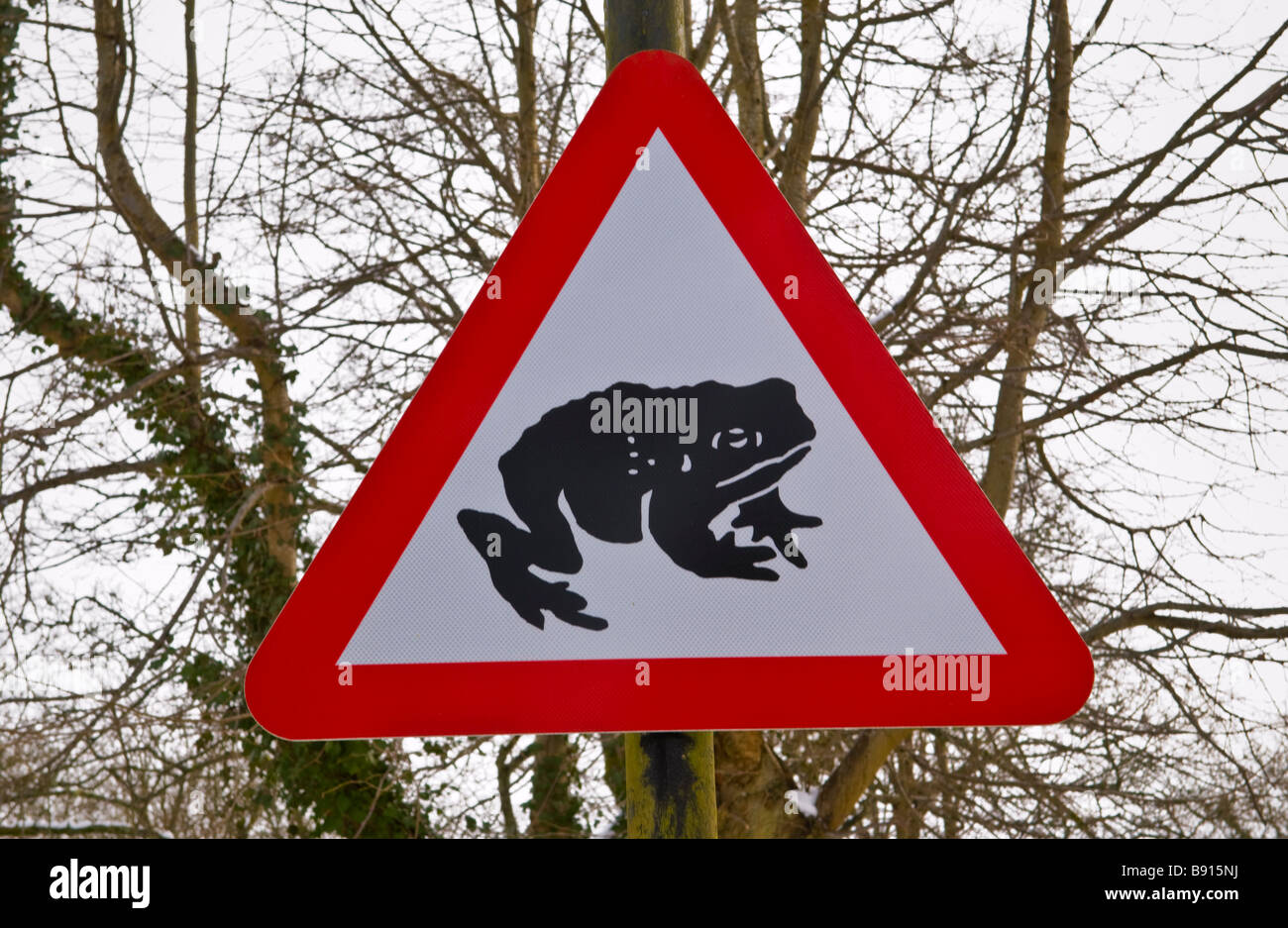 Toad warning sign near the lake at Llandrindod Wells Powys Mid Wales UK ...