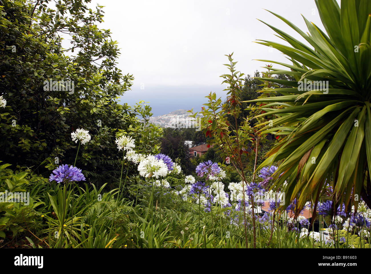 MONTE PALACE GARDENS ISLAND OF MADEIRA QUINTA DO MONTE MADEIRA 12 July ...
