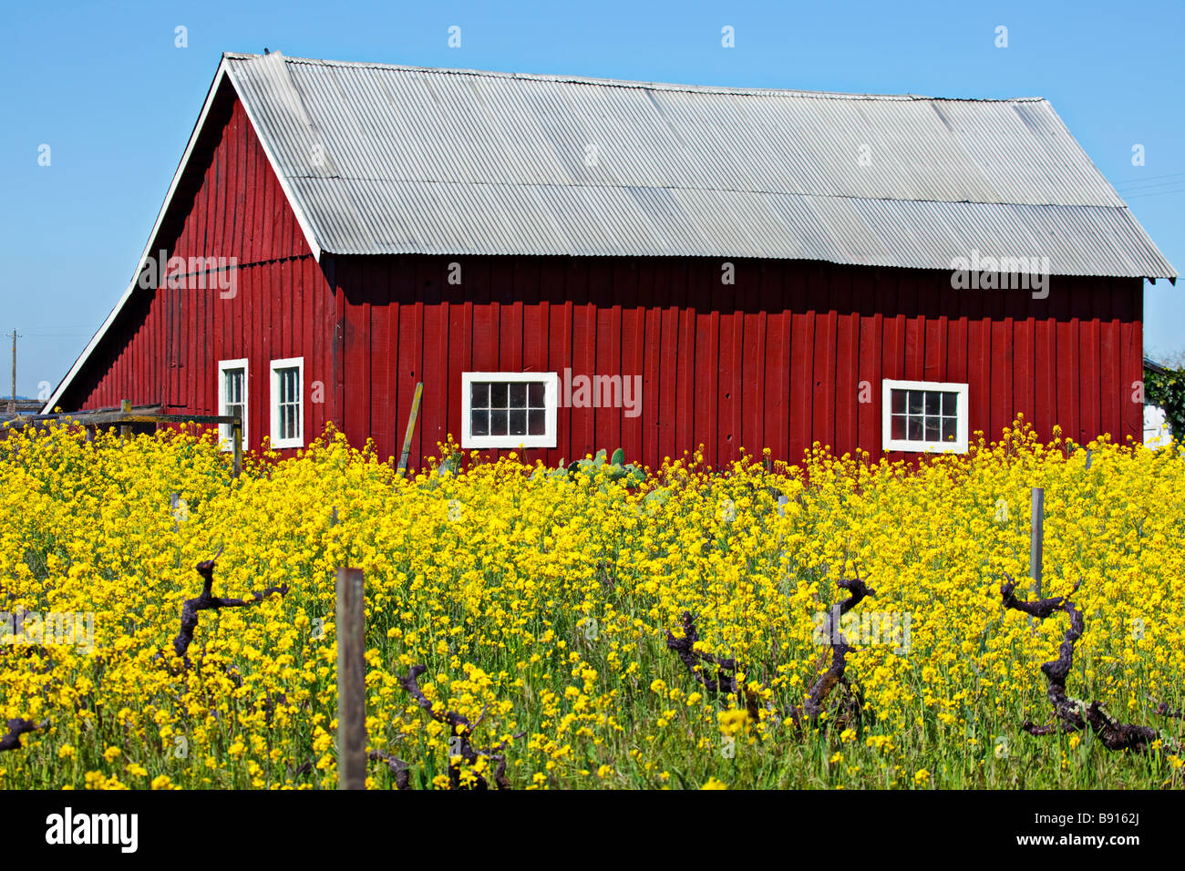Red barn and flowers hi-res stock photography and images - Alamy