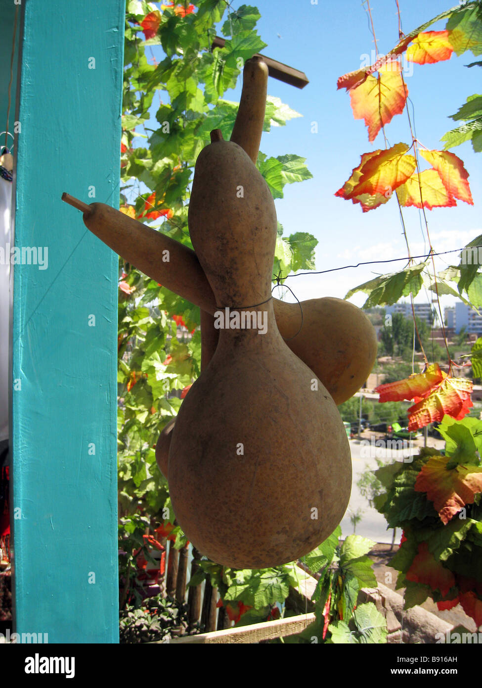 Gourd hanging hi-res stock photography and images - Alamy
