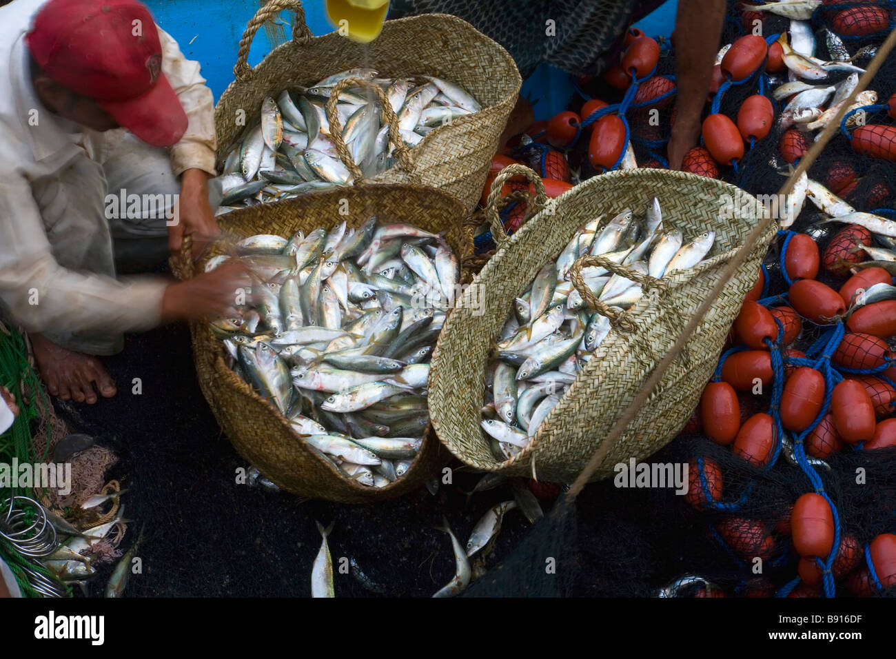 Fish market Al Hadayada, Al Hudayada Province, Yemen Stock Photo - Alamy