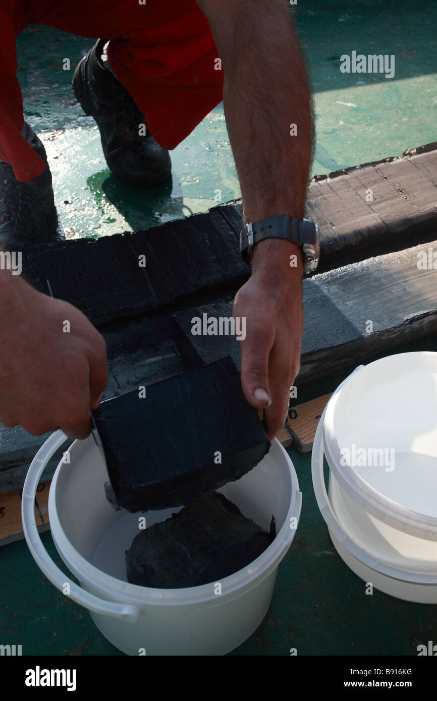 Dissection earth hi-res stock photography and images - Alamy