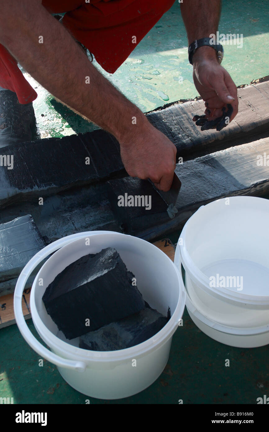 Dissection earth hi-res stock photography and images - Alamy