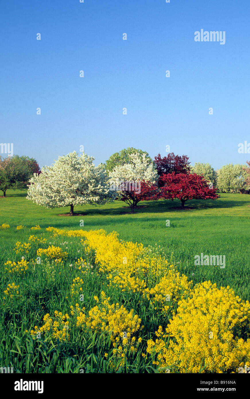 MINNESOTA LANDSCAPE ARBORETUM IN CHASKA, MINNESOTA. SPRING Stock Photo ...