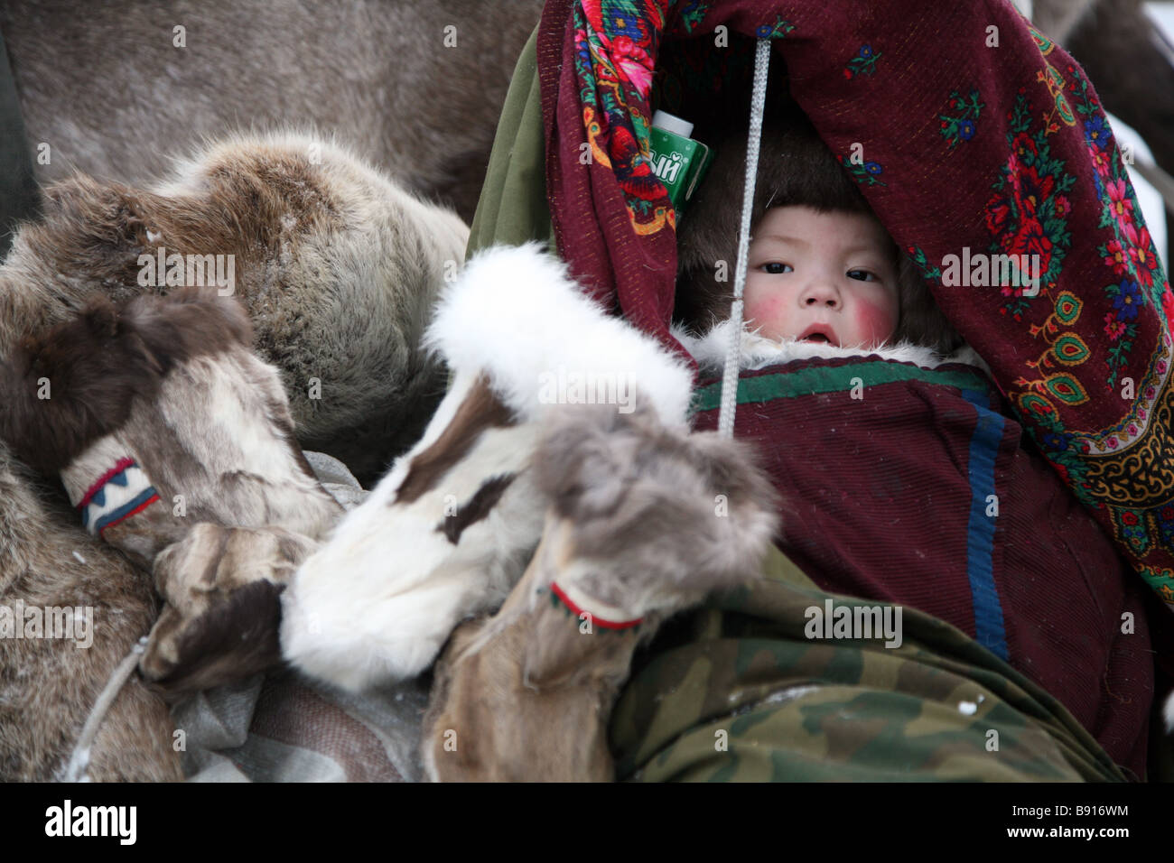 Nenets child. Russia. Yamal Region. Winter Stock Photo - Alamy