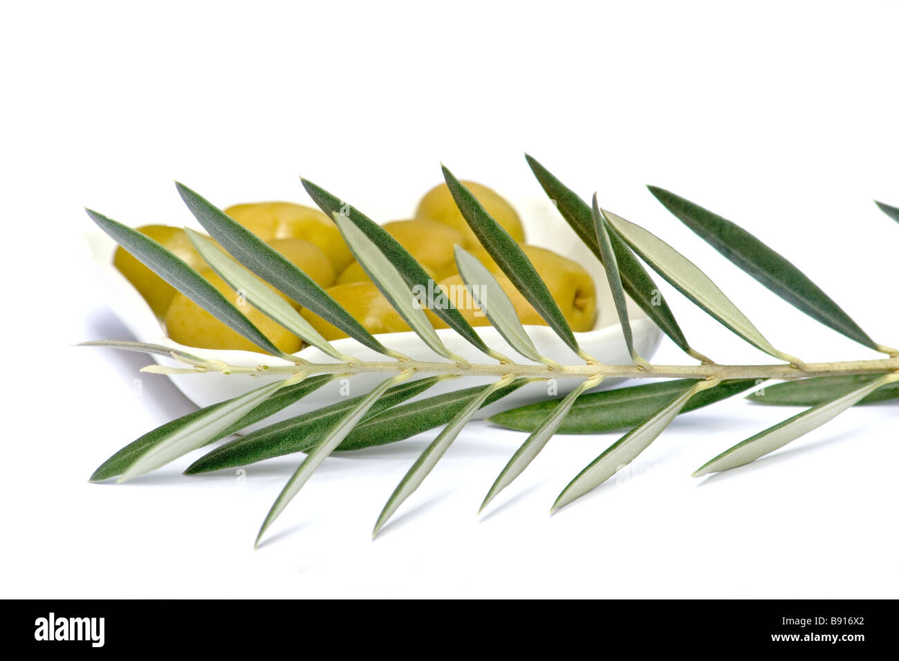 Close-up of olive sprig and olives on white background Stock Photo - Alamy