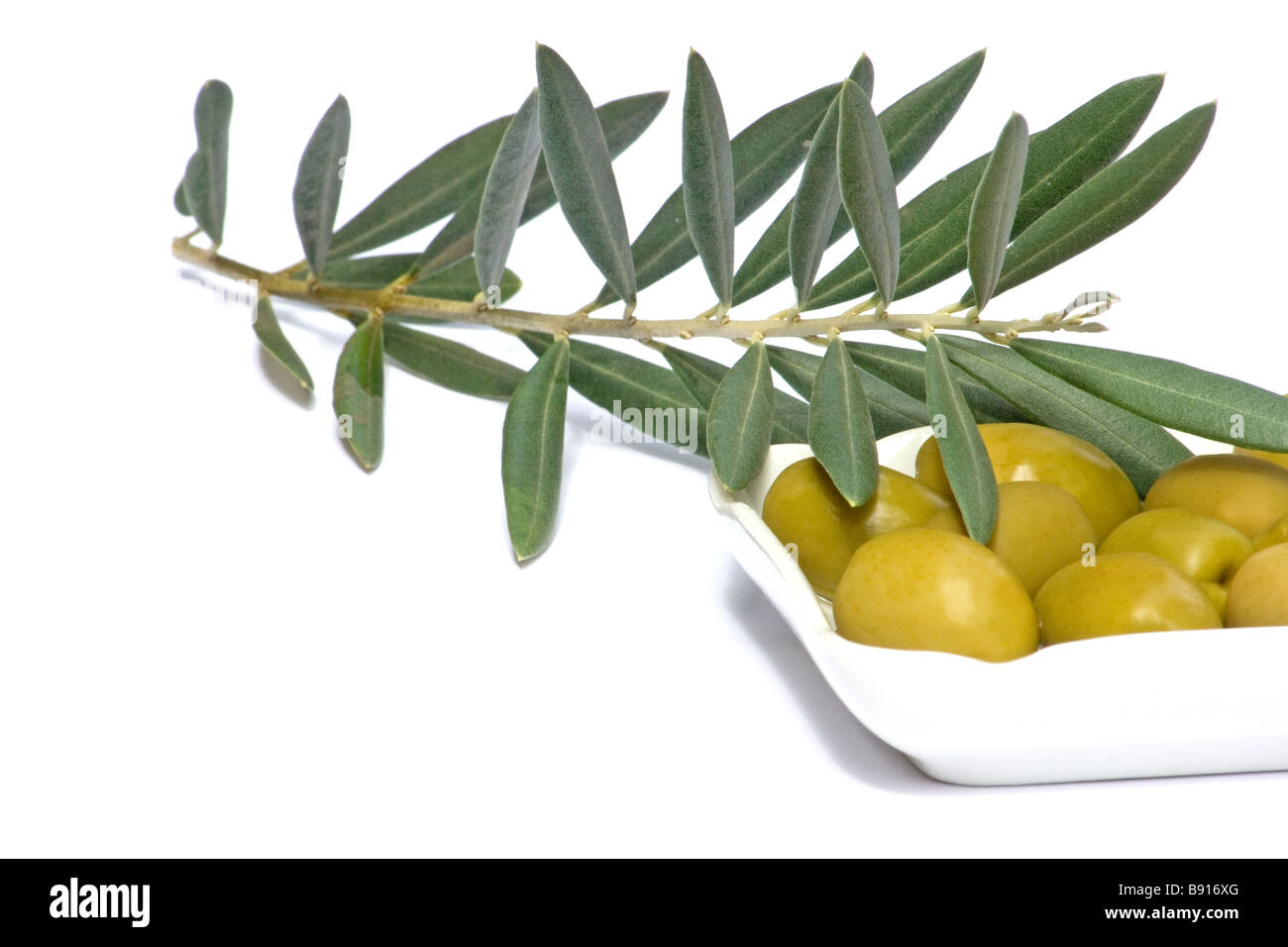 Olive sprig hi-res stock photography and images - Alamy