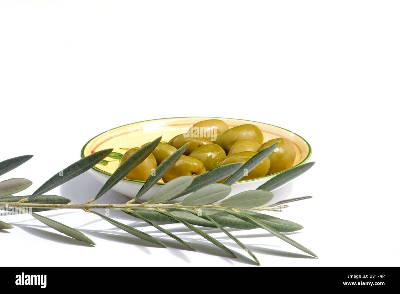 Olive branch fruits olea europaea hi-res stock photography and images ...