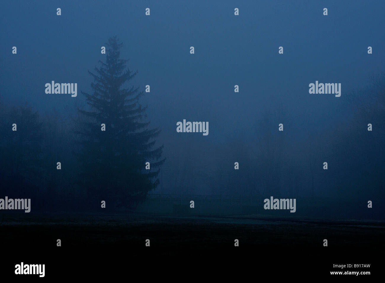 Drizzle fog hi-res stock photography and images - Alamy