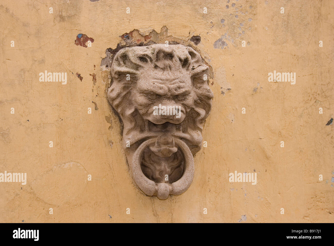 A molding representing a lion's head, placed on a wall with peeling ...