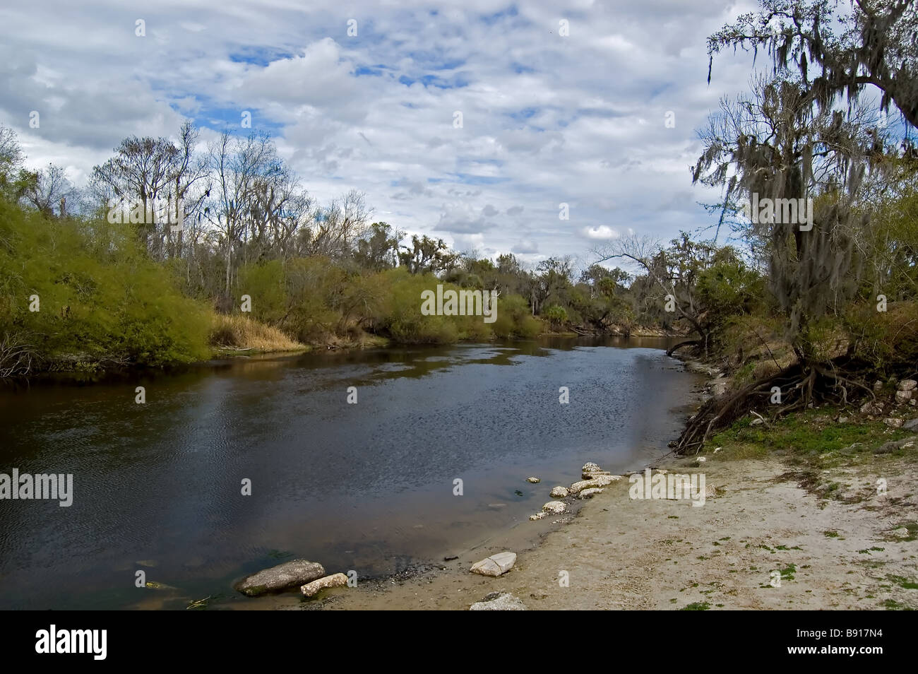 Summer river scene Stock Photo - Alamy
