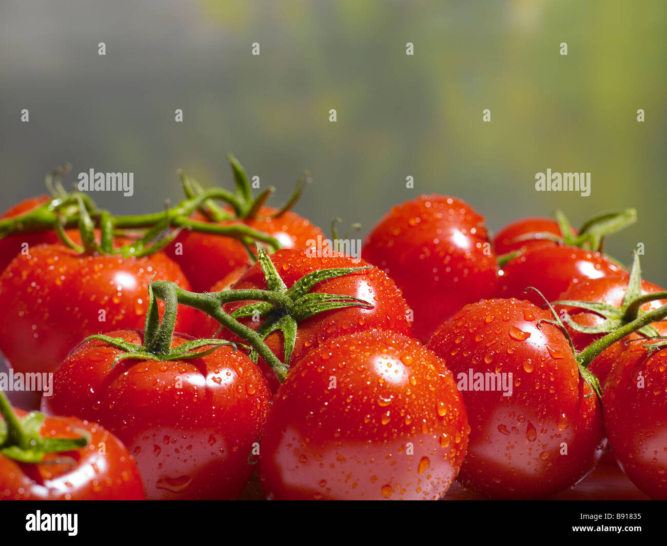 Fresh tomoatoes hi-res stock photography and images - Alamy