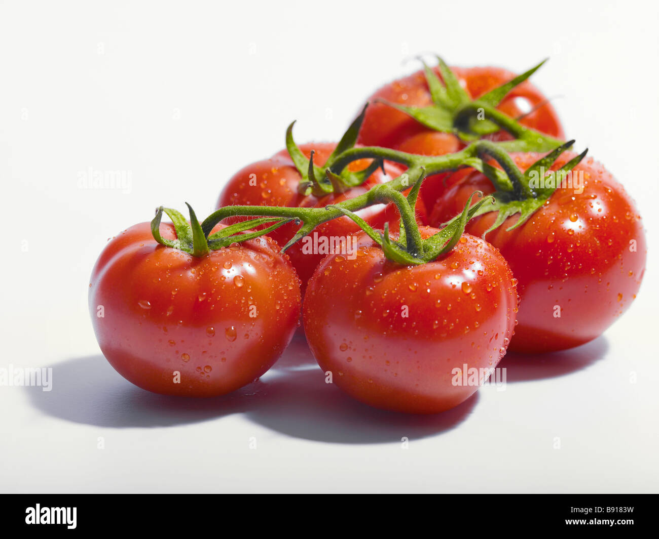 Fresh tomoatoes hi-res stock photography and images - Alamy