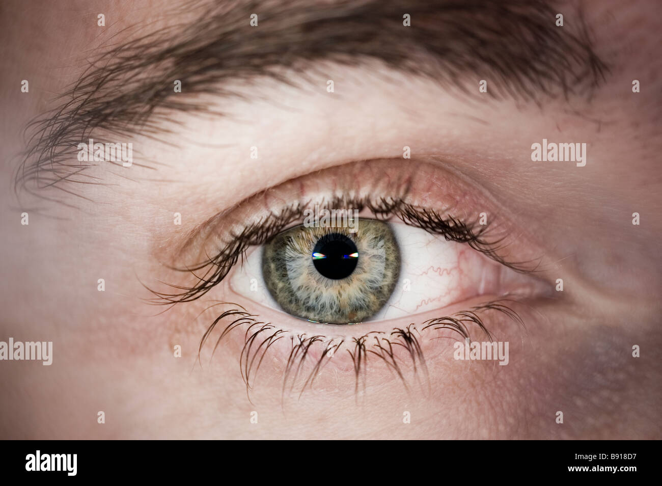 All the eye hi-res stock photography and images - Alamy