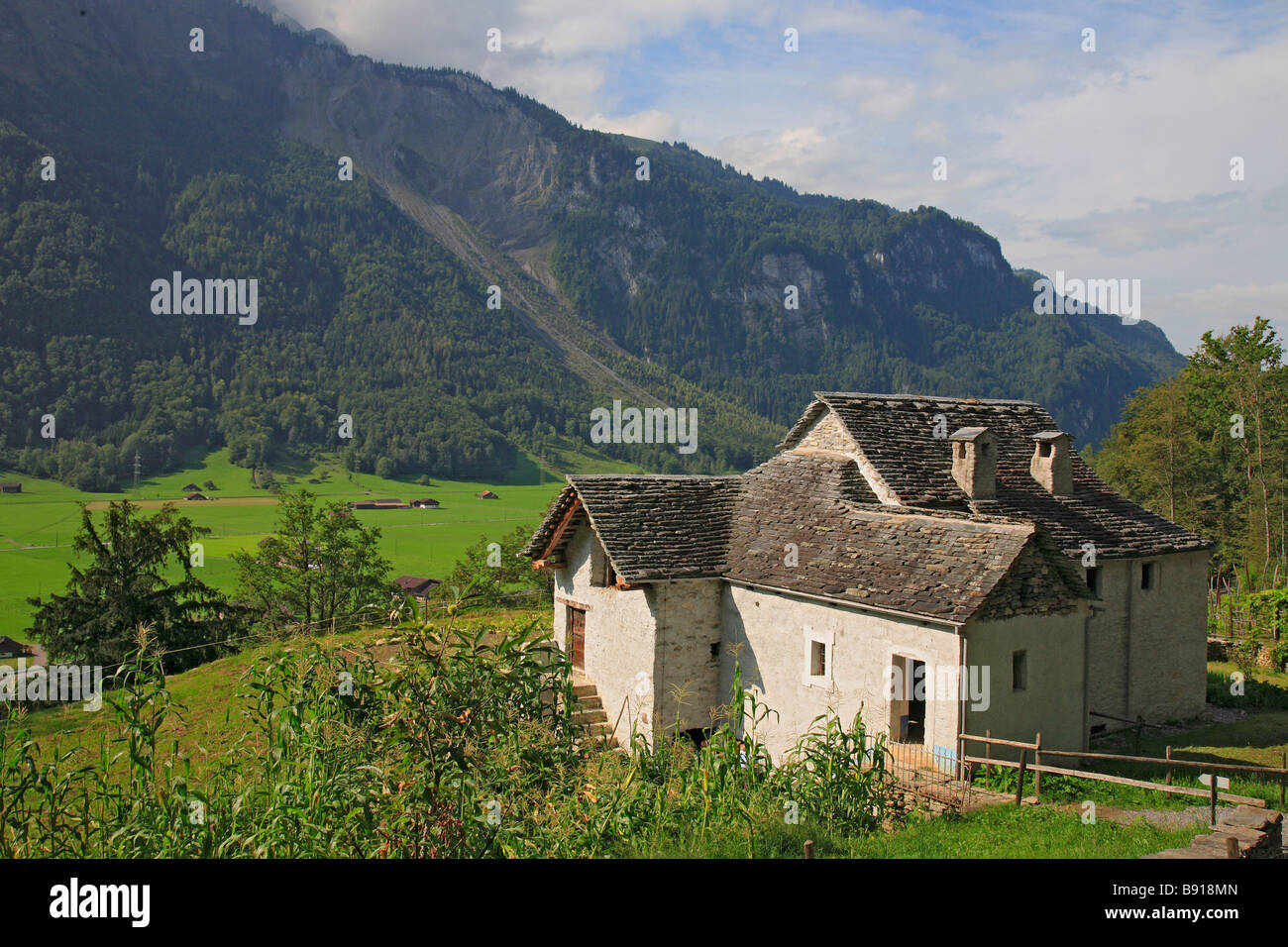 Ballenberg swiss Switzerland Breinz bernese Oberland canton open air ...
