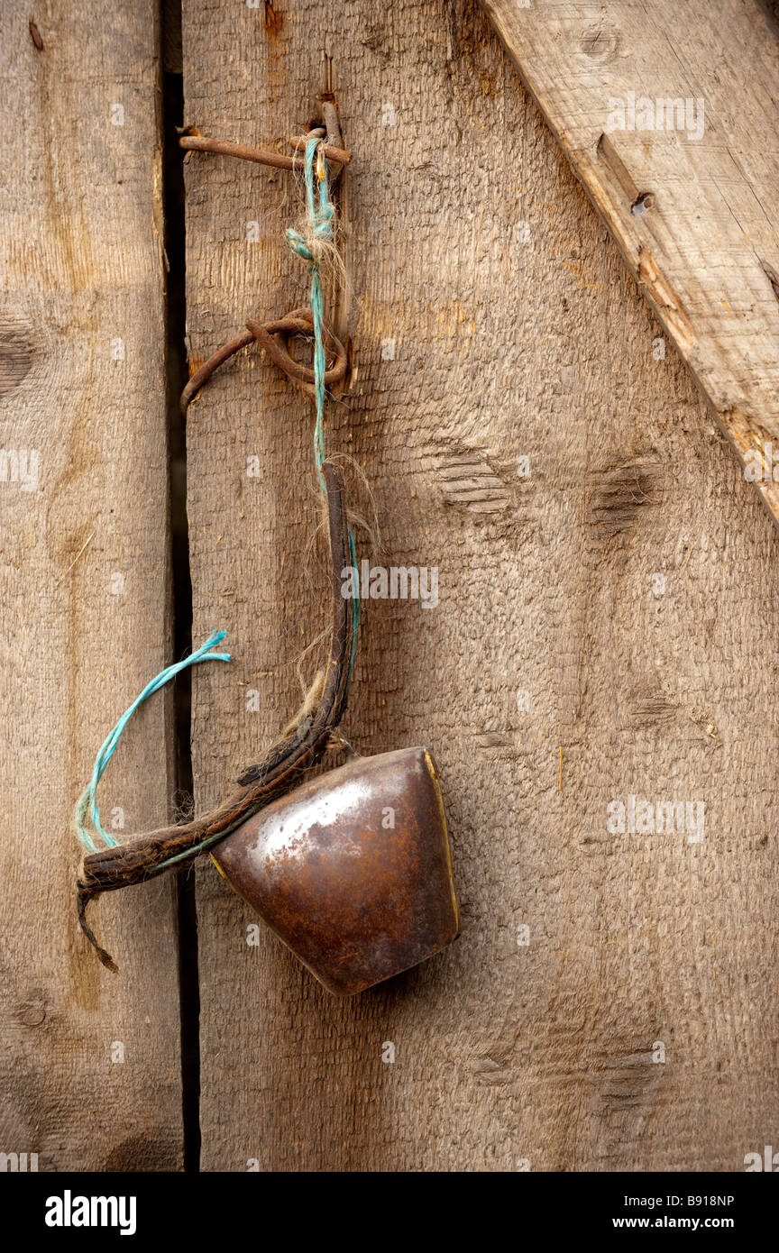 Sheep bell on sheep hi-res stock photography and images - Alamy