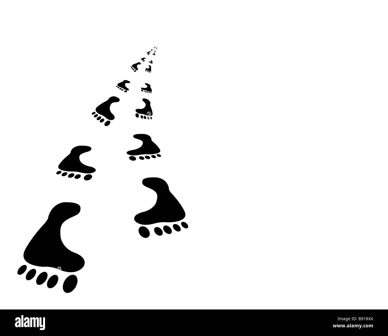 Human traces It is isolated on a white background the image of traces ...