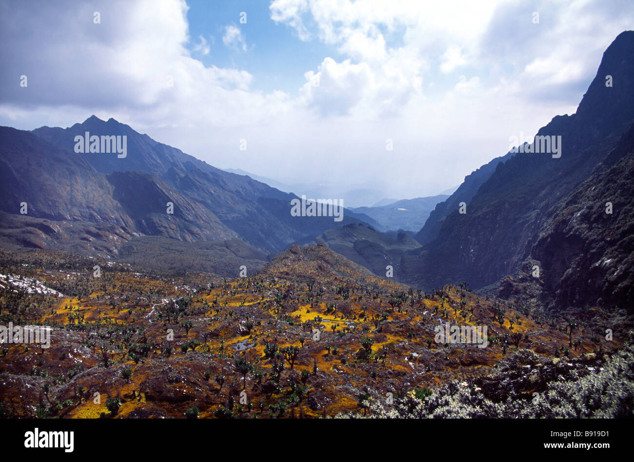 Rwenzori Mountain Range High Resolution Stock Photography and Images ...