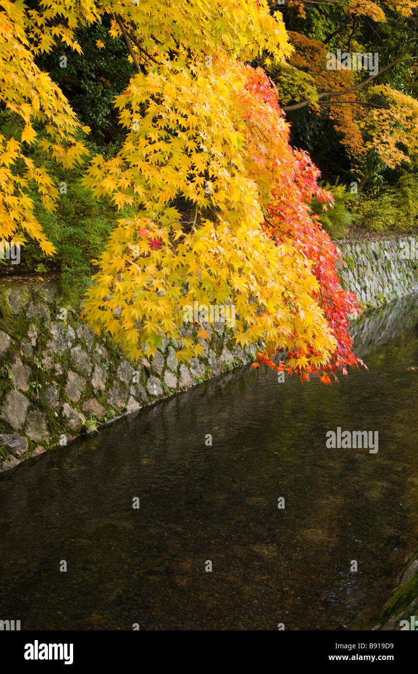 Philosophers path hi-res stock photography and images - Alamy