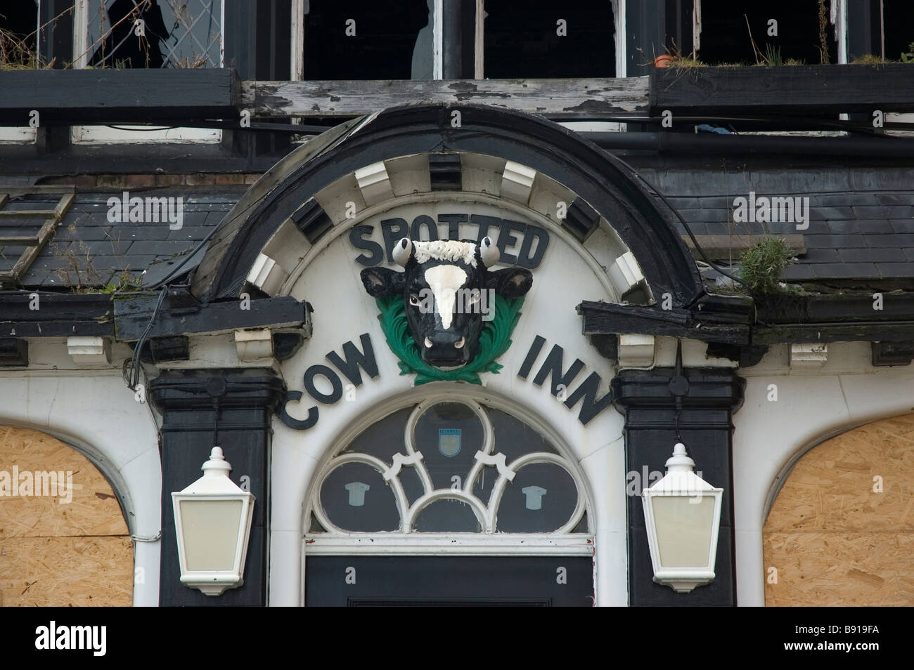 Spotted cow pub hi-res stock photography and images - Alamy