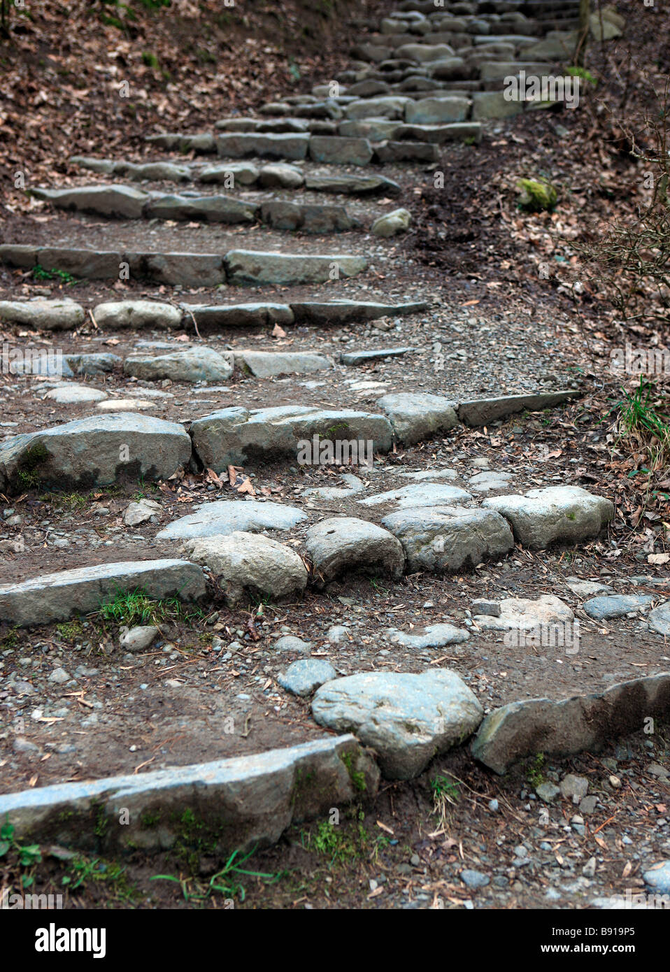 Public steps hi-res stock photography and images - Alamy
